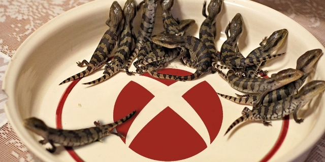 Lizard Squad Xbox Live DDoS Attack – XBLAFans